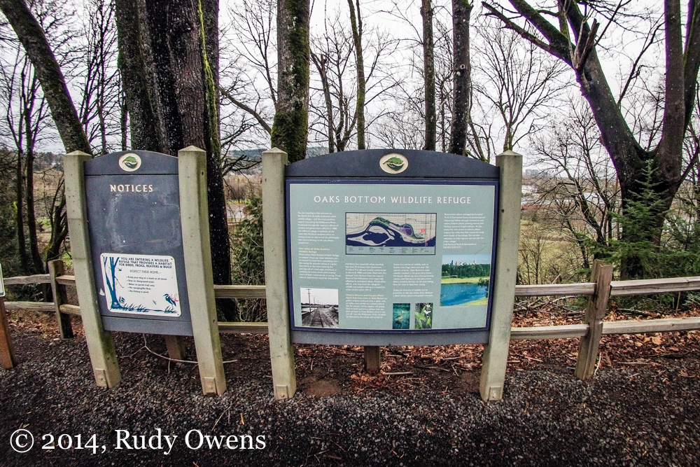 Oaks Bottom Wildlife Refuge, Portland | What Beautiful Light